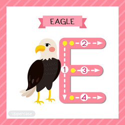 Eagle Flashcard Vector Images (22)