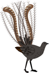 Bird with long legs Royalty Free Vector Image - VectorStock