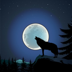 Wolf Moon Vector Images (over 2,100)