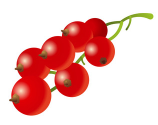 Black currant ripe cartoon Royalty Free Vector Image