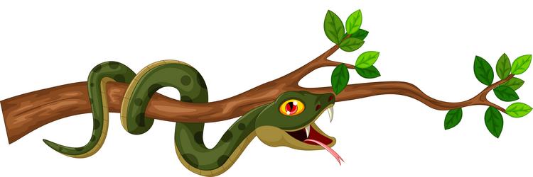 Cute snake cartoon Royalty Free Vector Image - VectorStock