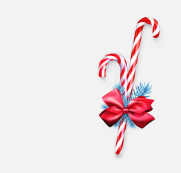 Two striped candy cane sticks with blue fir Vector Image