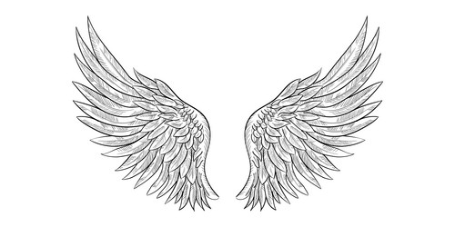 Vintage heraldic wing sketch doodle stylized bird Vector Image