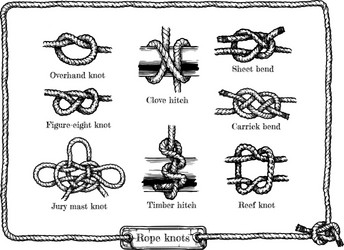 All types of knots demonstrated with strong rope Vector Image