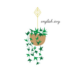 Ivy Outlines Vector Images (over 690)