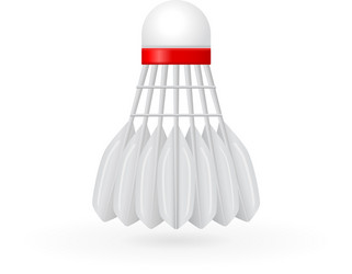 Shuttlecocks splash badminton Royalty Free Vector Image