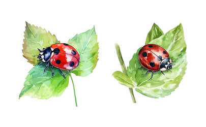 Leaf Clipart Ladybug Vector Images (over 140)