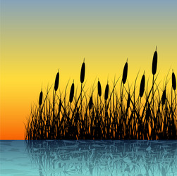 Reeds in the water Royalty Free Vector Image - VectorStock