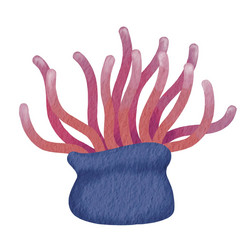 Sea Anemone Drawing For Kids