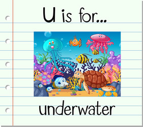 Flashcard letter u is for up Royalty Free Vector Image