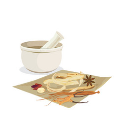 Cobek is traditional mortar grinder from stone Vector Image