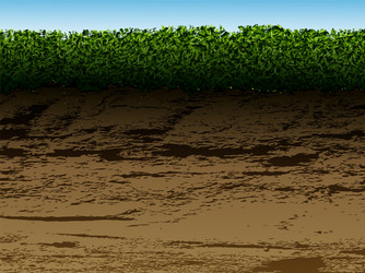 Soil Vector Images (over 80,000)