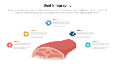 Beef or meat food infographics template diagram Vector Image