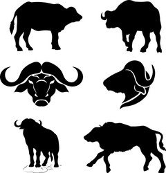 African Buffalo Vector Images (over 1,500)