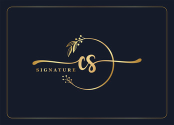 Cs Signature Vector Images (over 370)
