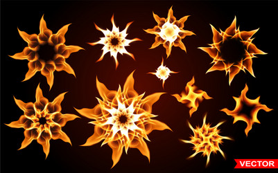 Realistic burning fire flame bright element Vector Image