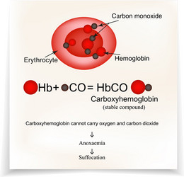 Carboxyhemoglobin joining the hemoglobin carbon Vector Image