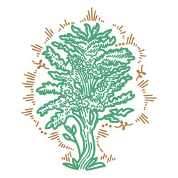 Autumn tree stroke high quality Royalty Free Vector Image