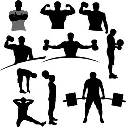 Male muscle anatomy set Royalty Free Vector Image