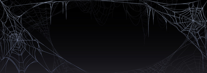 Realistic spider web isolated on black background Vector Image