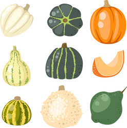 Pumpkin Royalty Free Vector Image - VectorStock