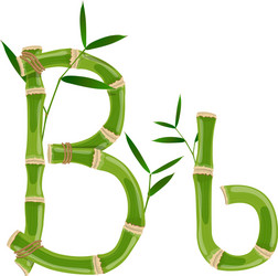 Flashcard letter b is for bamboo Royalty Free Vector Image