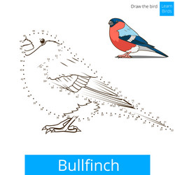Bullfinch bird learn to draw Royalty Free Vector Image