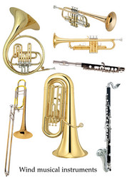 Wind instruments in sketch and cartoon style Vector Image