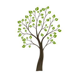 Shape of green tree with leaves outline Royalty Free Vector
