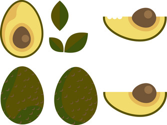 Avocado Face Vector Images (over 2,800)