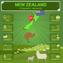 New zealand infographics statistical data sights Vector Image