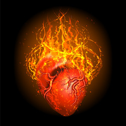 Burning hearts Royalty Free Vector Image - VectorStock