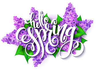 Welcome spring lettering handwritten with color Vector Image