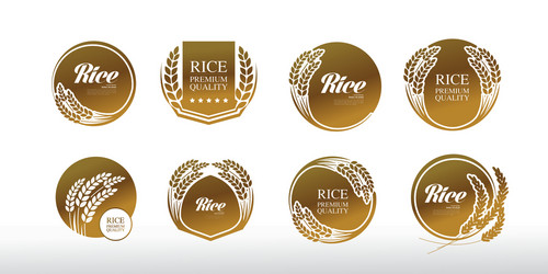 Premium rice great quality Royalty Free Vector Image