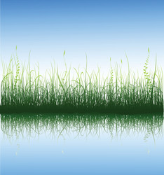 Water Grass Vector Images (over 39,000)