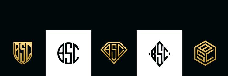 Bsc Logo Vector Images (52)