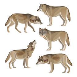 Wolf Pack Vector Images (over 580)