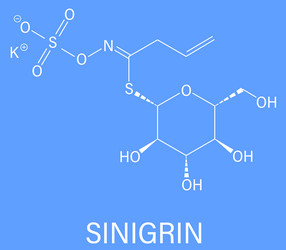 Sinigrin glucosinolate molecule skeletal formula Vector Image