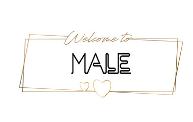 Male welcome to golden text neon lettering Vector Image