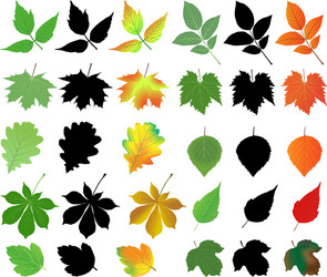 Leaves Vector Images (over 660,000)