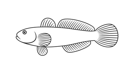 Goby Fish Vector Images (52)