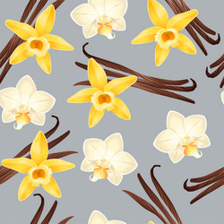 Vanilla Royalty Free Vector Image - VectorStock