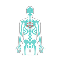 Spine Back Pain Diagram Vector Images (over 160)