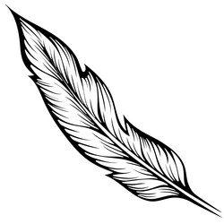 Long feather line art Royalty Free Vector Image
