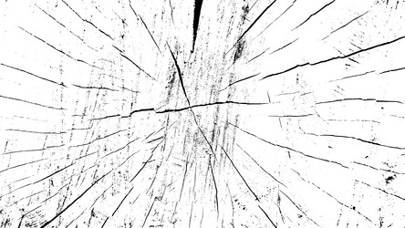 Tree rings texture wood log with cracks Royalty Free Vector