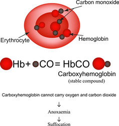 Carboxyhemoglobin joining the hemoglobin carbon Vector Image