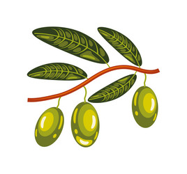 Olive Leaf Vector Images (over 25,000)