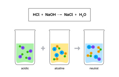 Reaction neutralization poster Royalty Free Vector Image