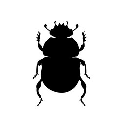 Sacred scarab beetle Royalty Free Vector Image