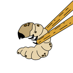 Edible larva eating caterpillar with chopsticks Vector Image